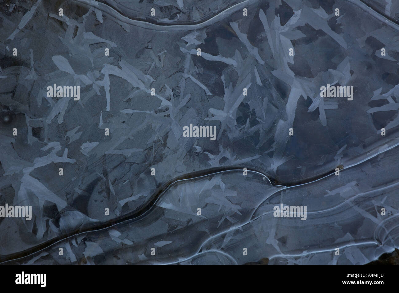 Ice pattern. Frozen puddle with surface pattern Stock Photo - Alamy