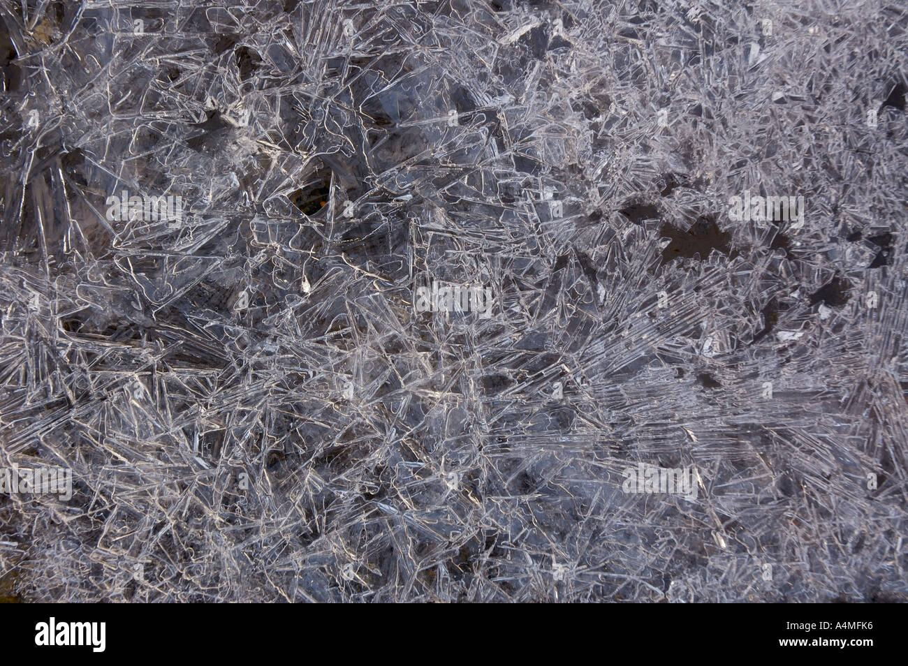 Ice pattern. Frozen puddle with surface pattern Stock Photo - Alamy