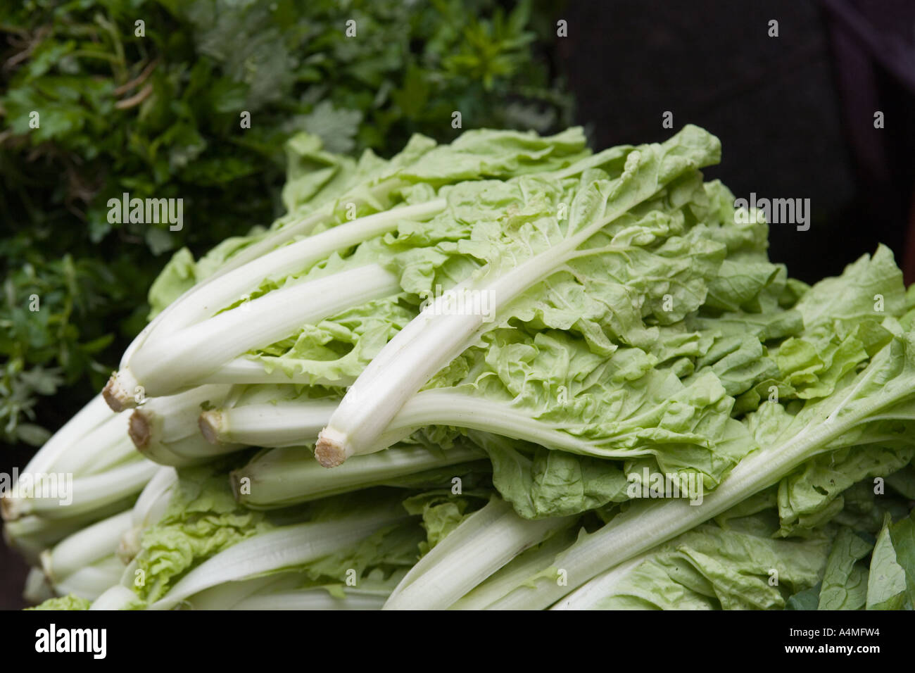 Malaysia Borneo Sarawak Sibu Sunday food market green vegetables Stock ...