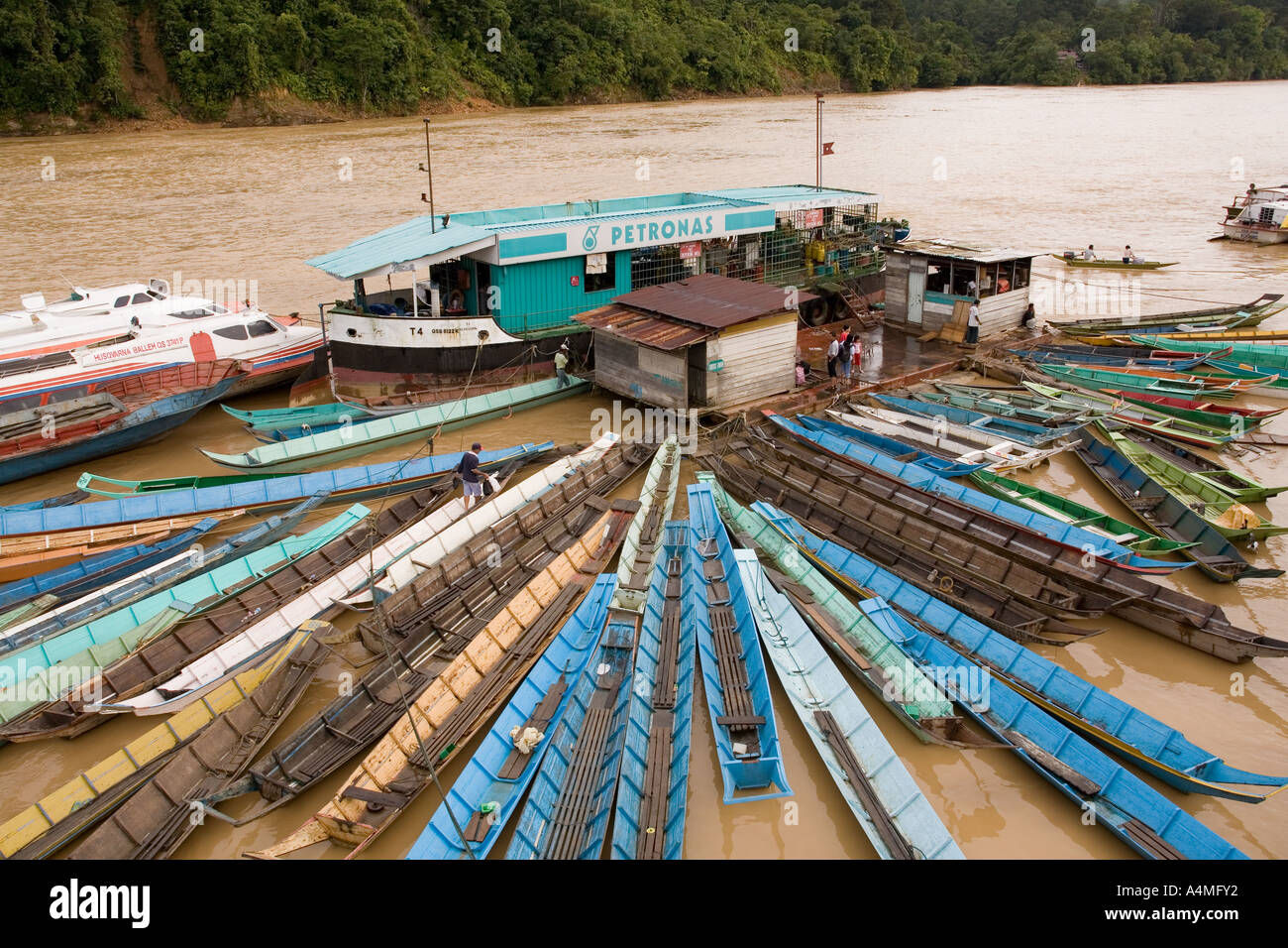 Malaysia Borneo Sarawak Kapit longboats on the Rejang River Stock Photo ...