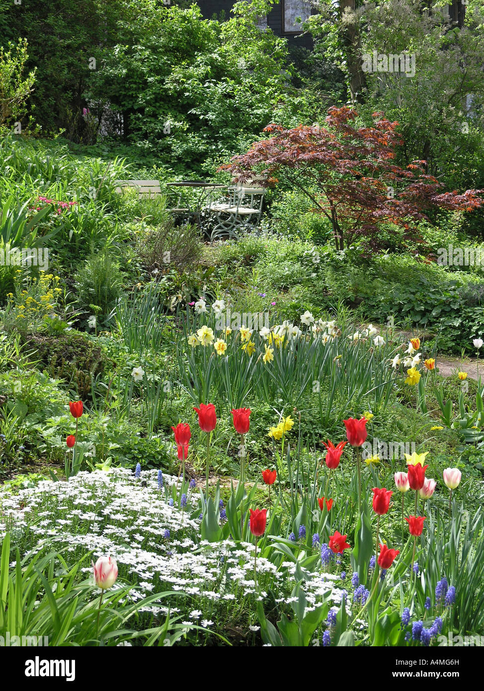 Domestic Garden in April Stock Photo - Alamy