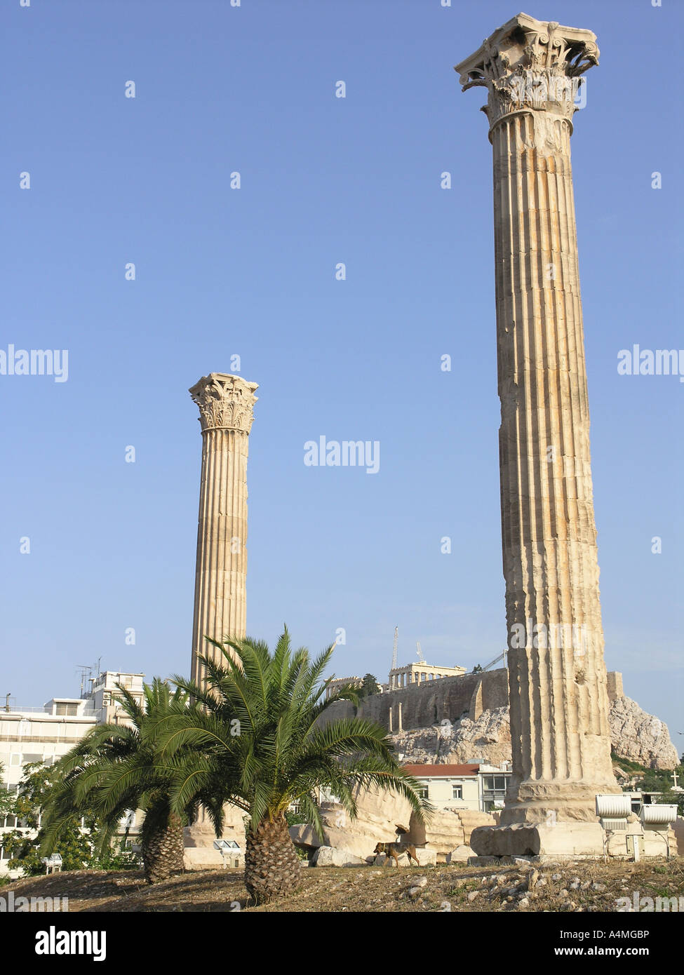 Columns in Temple of Olympian Zeus Stock Photo - Alamy