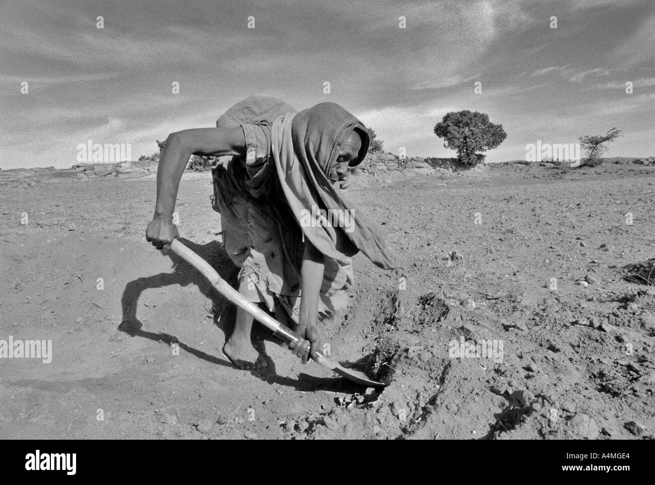 Female african farming working Black and White Stock Photos & Images ...
