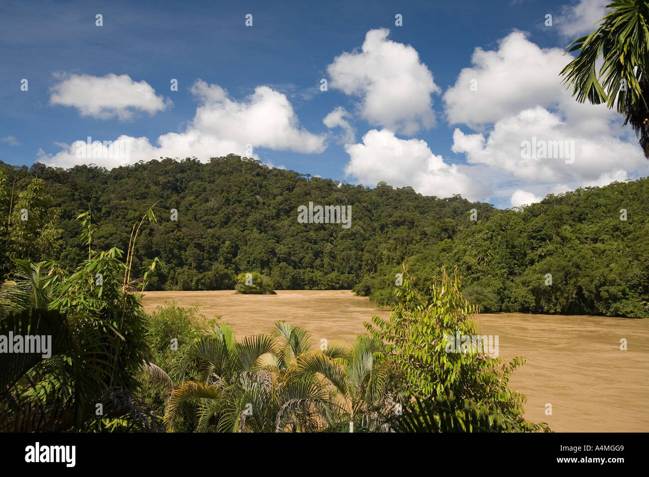 Malaysia Borneo Sarawak Rejang River Pelagus Rapids Stock Photo - Alamy