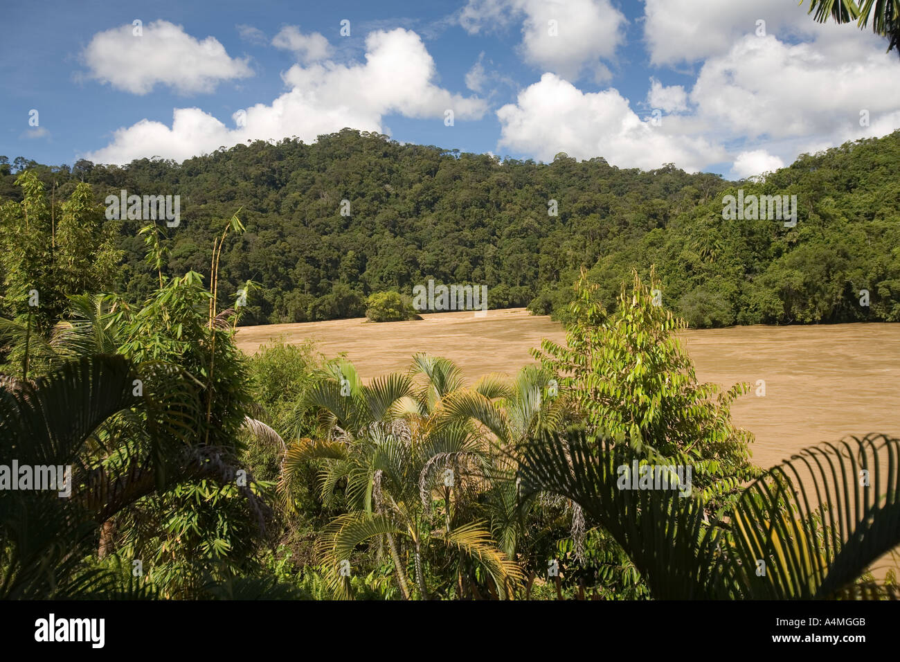 Malaysia Borneo Sarawak Rejang River Pelagus Rapids Stock Photo - Alamy