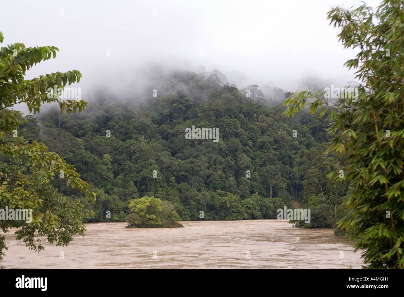 Malaysia Borneo Sarawak Rejang River Pelagus Rapids and rainforest in ...