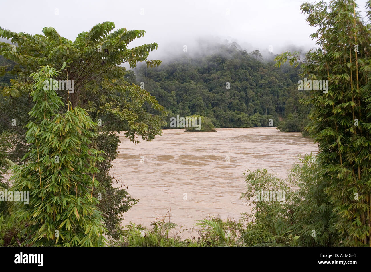Malaysia Borneo Sarawak Rejang River Pelagus Rapids and rainforest in ...