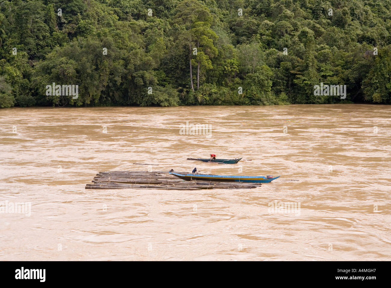 Malaysia Borneo Sarawak Rejang River raft of timber logs Stock Photo ...