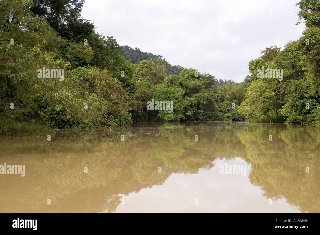 Malaysia Borneo Sarawak Pelagus River in full flood Stock Photo - Alamy