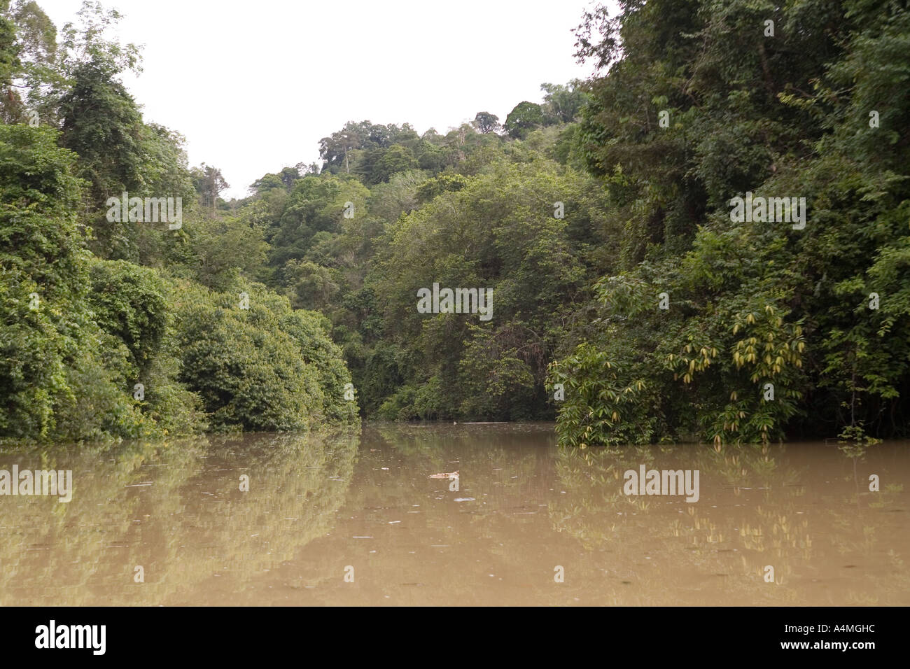 Malaysia Borneo Sarawak Pelagus River Stock Photo - Alamy
