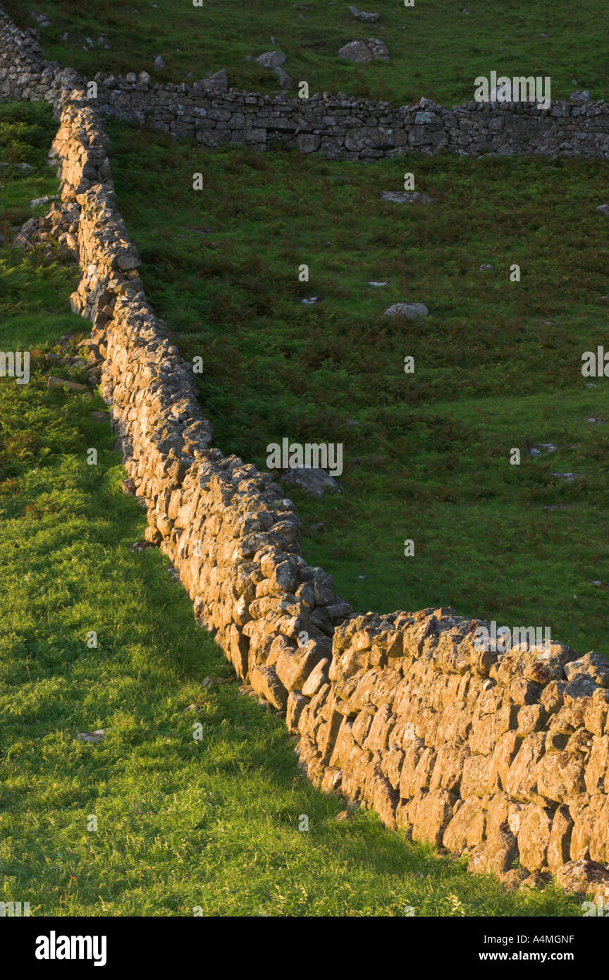 Stone wall on green landscape, Scotland, UK Stock Photo - Alamy