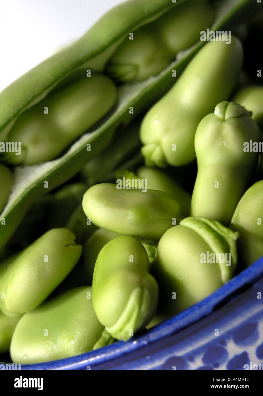 Broad beans container hi-res stock photography and images - Alamy