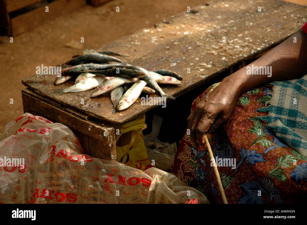 Indian lady in skirt hi-res stock photography and images - Alamy