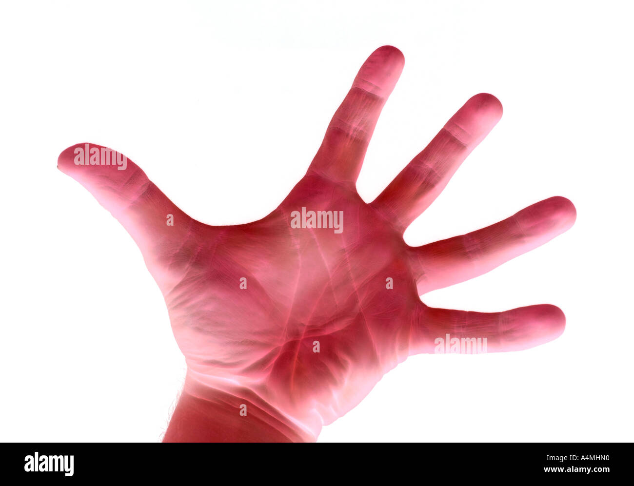 Pink hand on white background Stock Photo - Alamy