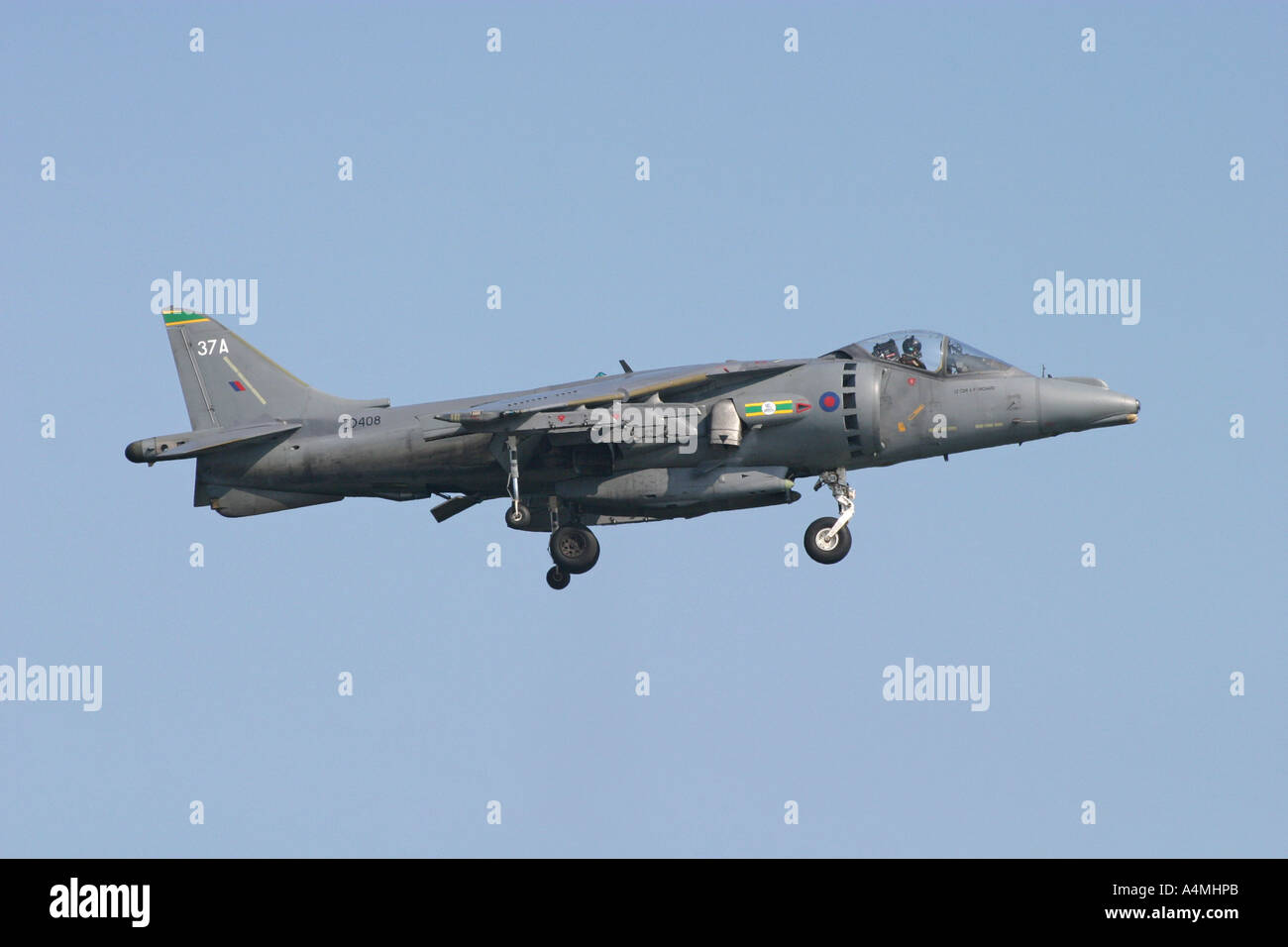 Harrier gr7 hi-res stock photography and images - Alamy