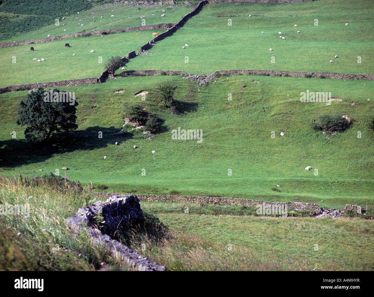 Cumbrian landscape, England Stock Photo - Alamy