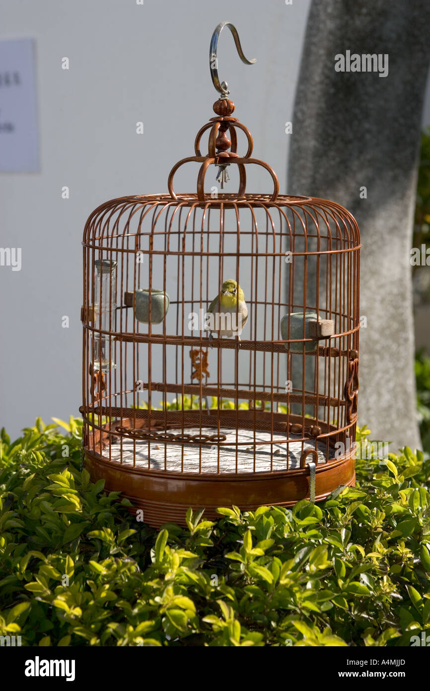 Yuen Po Street Bird Garden Hong Kong Stock Photo - Alamy