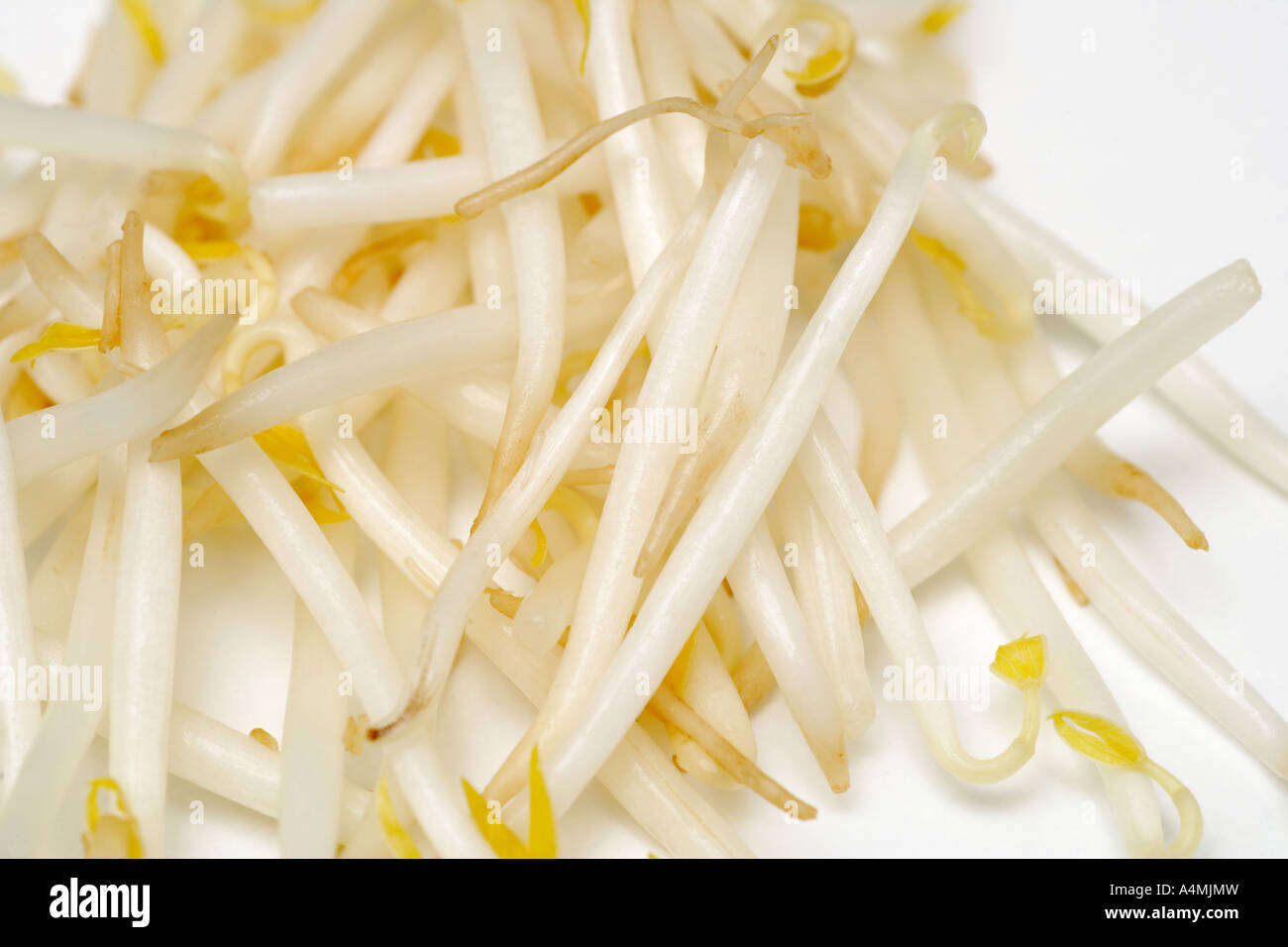 Chinese bean sprout hi-res stock photography and images - Alamy