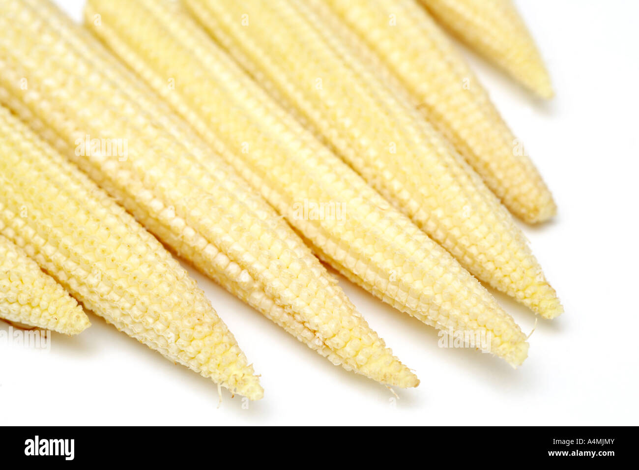Fresh healthy baby corn hi-res stock photography and images - Alamy