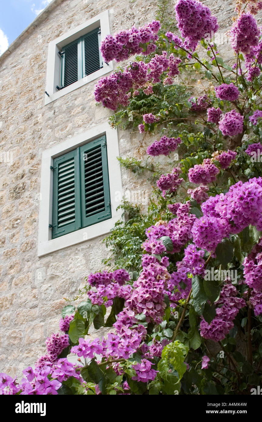Traditional limestone house in Croatia Stock Photo - Alamy