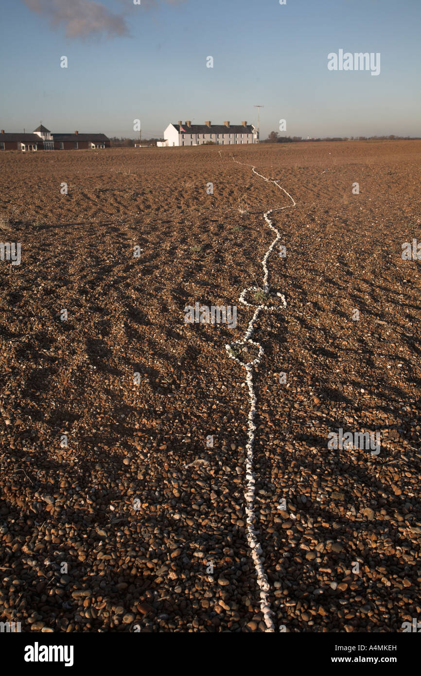 A line of white shells crossing the shingle beach into the distance ...