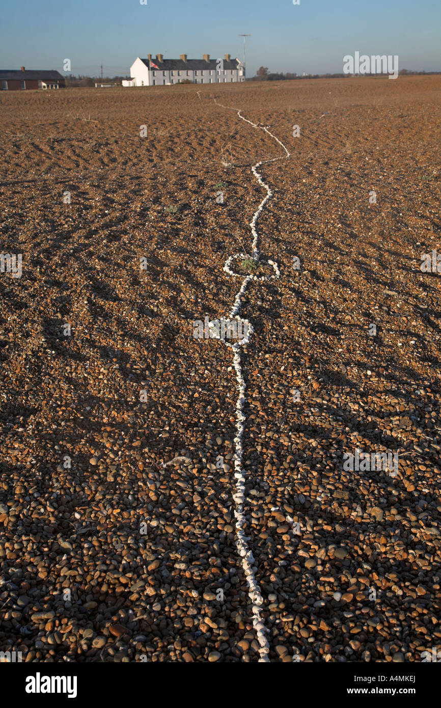 A line of white shells crossing the shingle beach into the distance ...