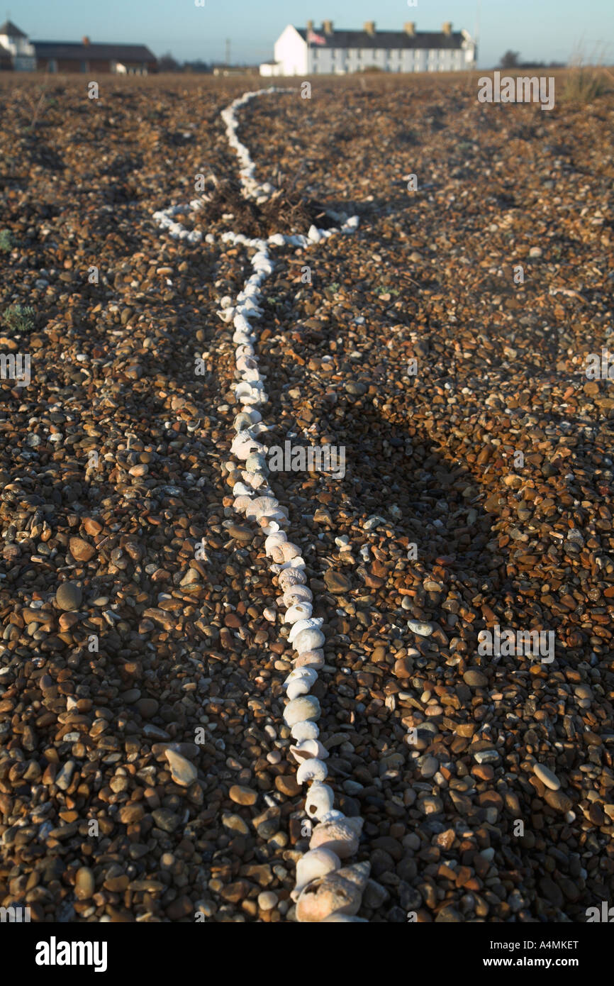 A line of white shells crossing the shingle beach into the distance ...