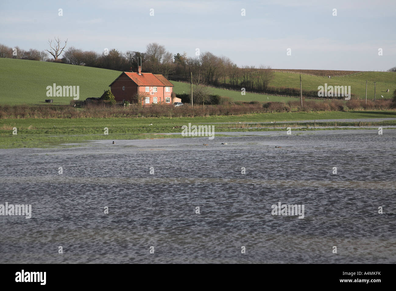 Flooding on the River Waveney, Norfolk Suffolk border near Harleston ...