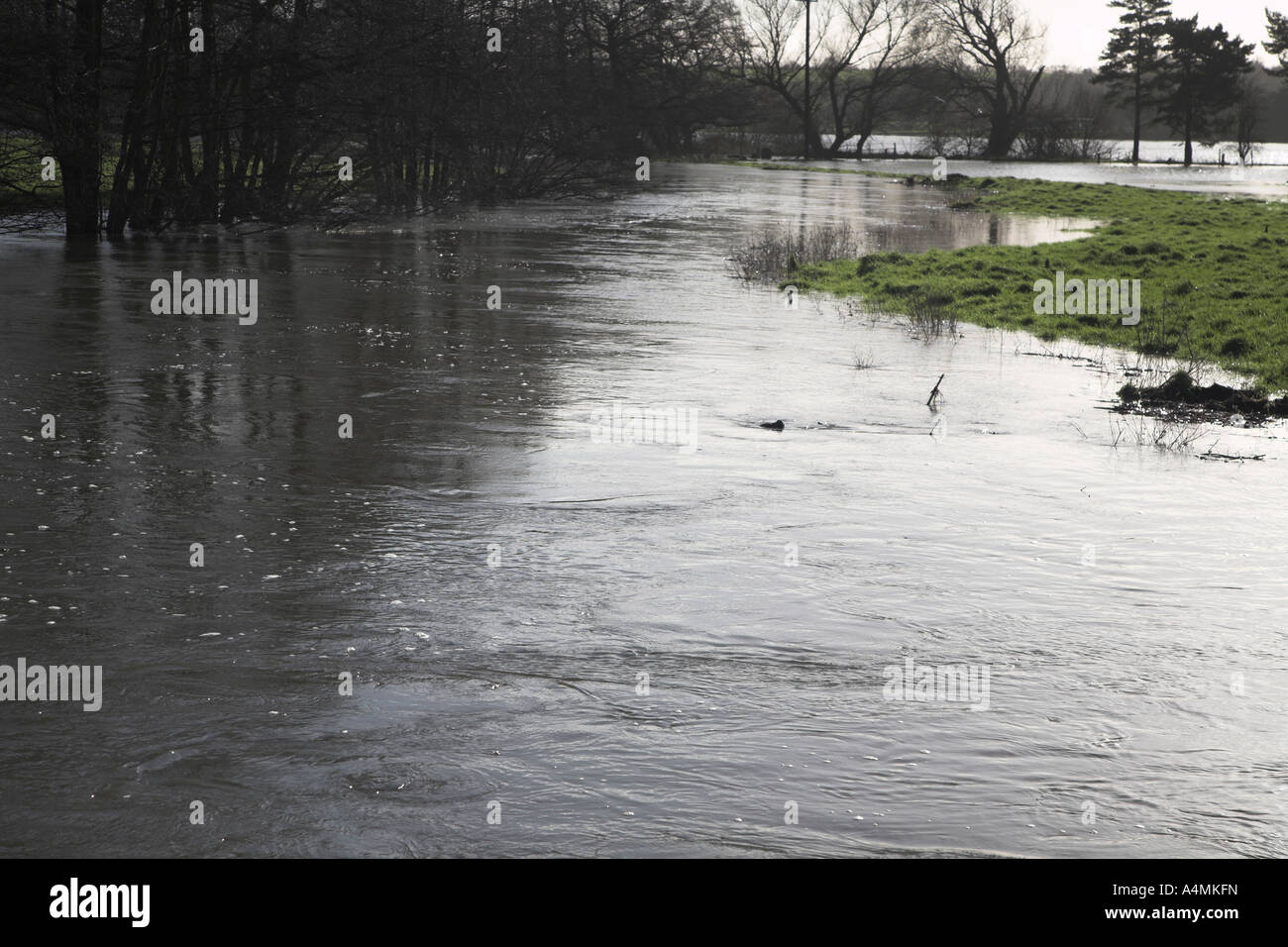 Flooding on the River Waveney, Norfolk Suffolk border near Harleston ...