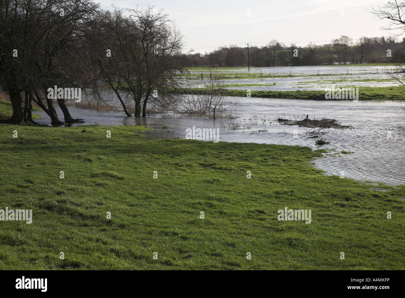 Flooding on the River Waveney, Norfolk Suffolk border near Harleston ...