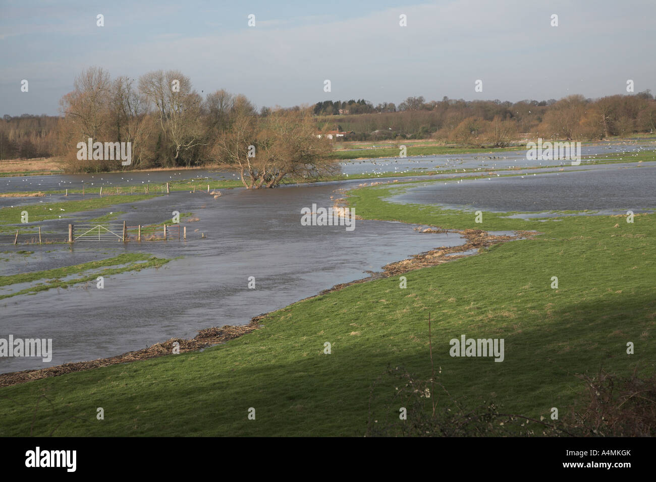 Waveney river on norfolk suffolk border hi-res stock photography and ...