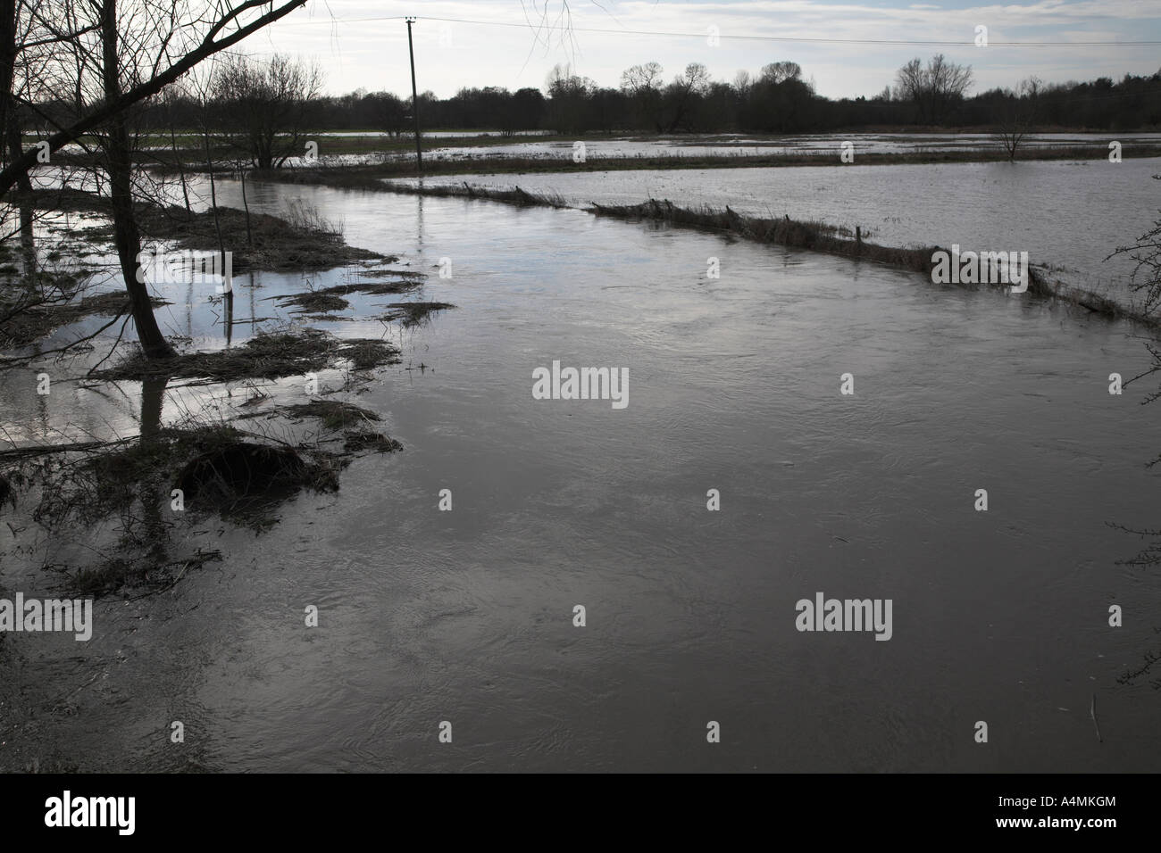 Flooding on the River Waveney, Norfolk Suffolk border near Harleston ...