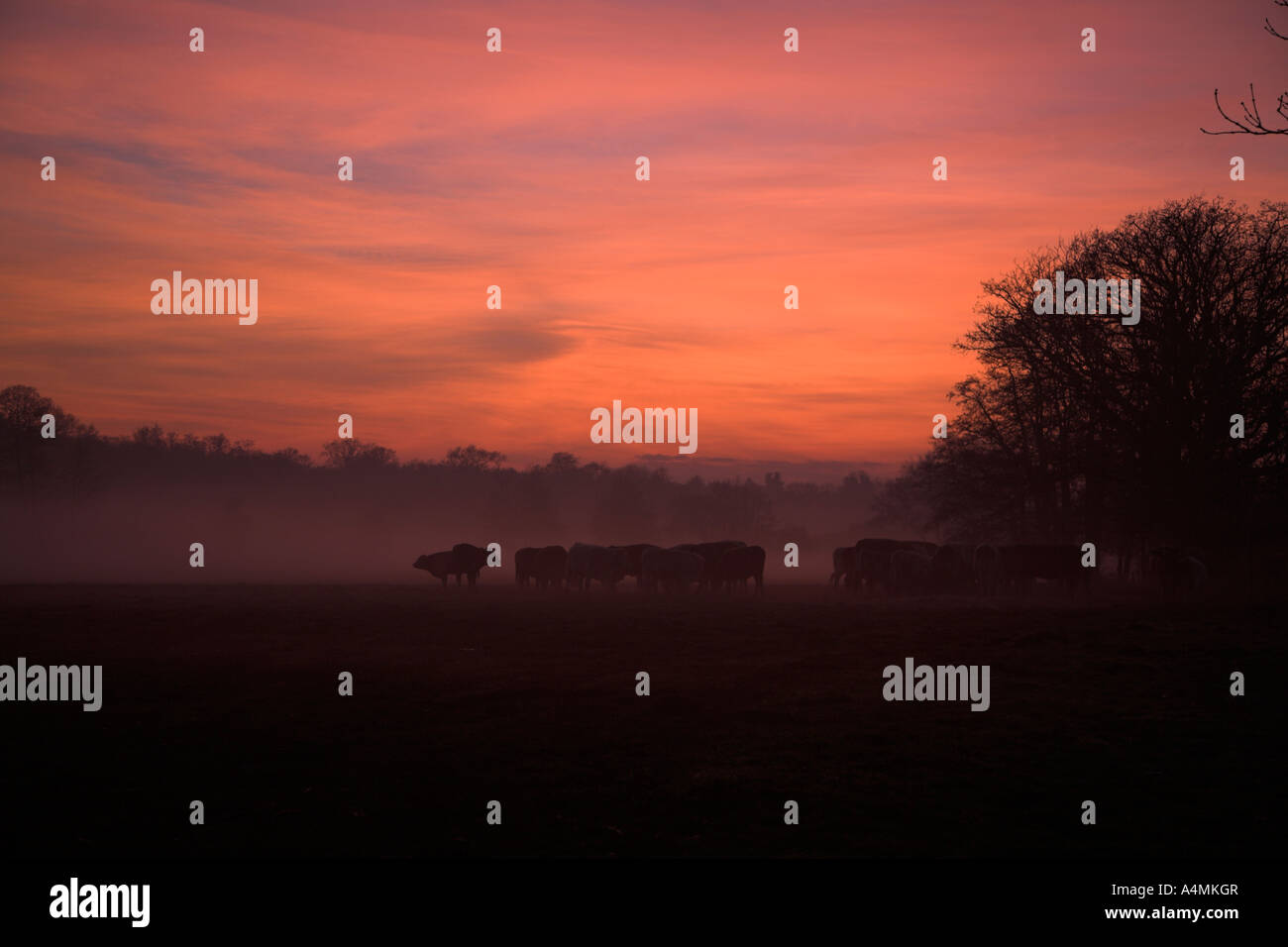 Shepherds delight hi-res stock photography and images - Alamy