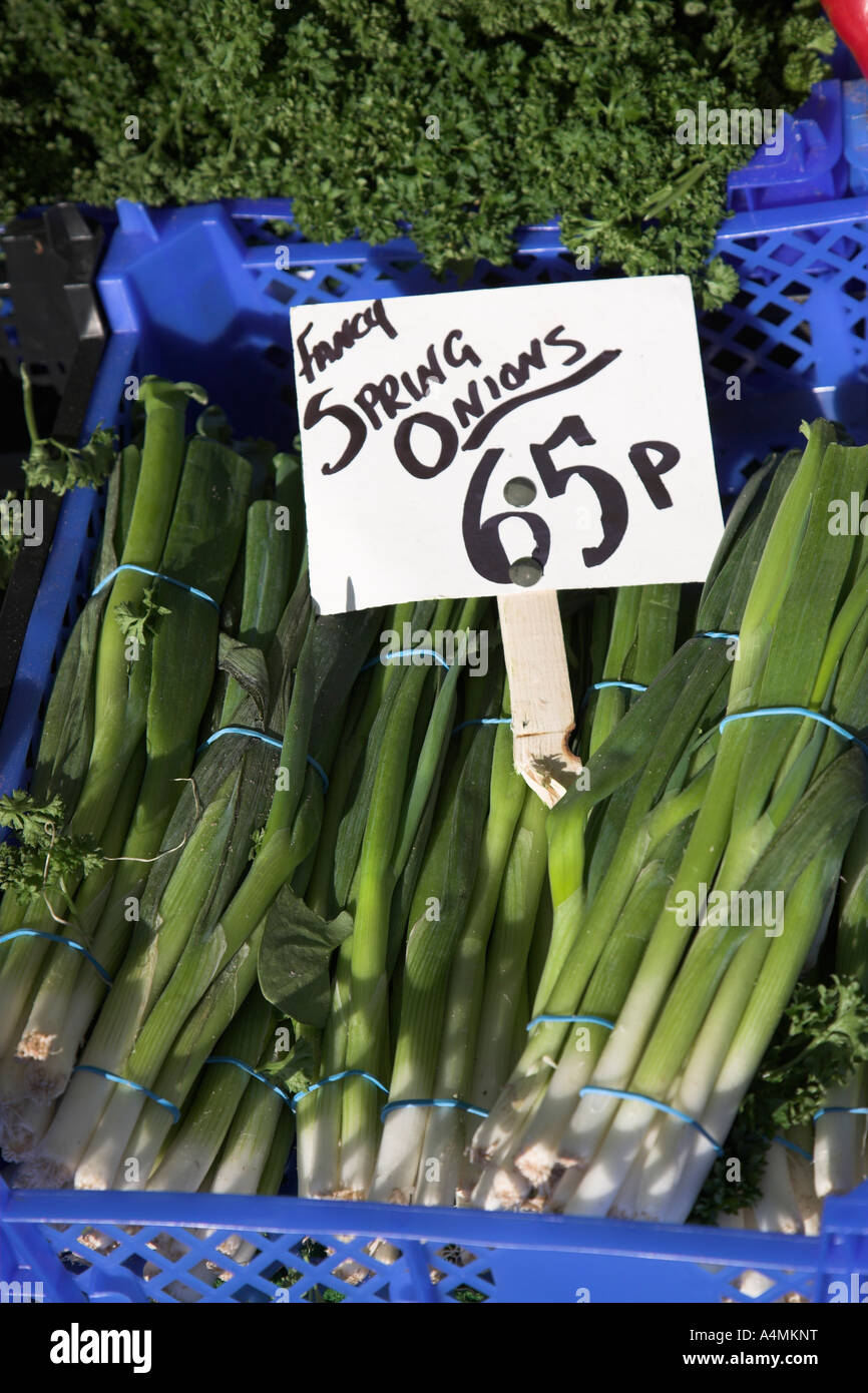 Bunches of spring onions on sale on a market stall in Britain Stock ...