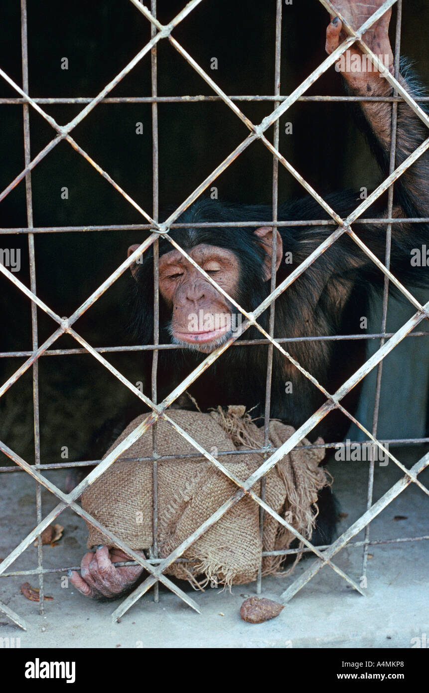 Poached bars hi-res stock photography and images - Alamy