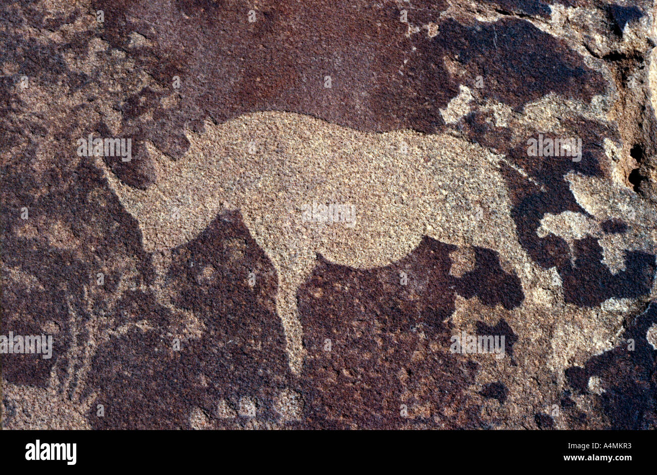 Rock engravings at Twyfelfontein, Namibia Stock Photo - Alamy