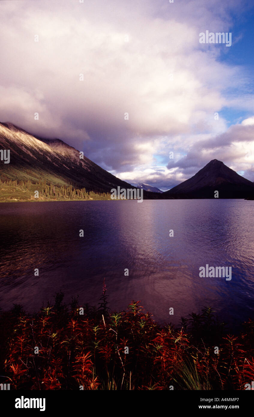 Black Lake Northern British Columbia Canada Stock Photo - Alamy