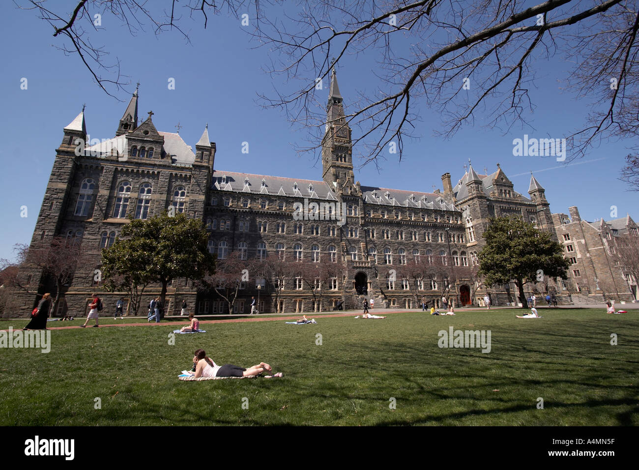 Georgetown Seal Wallpaper