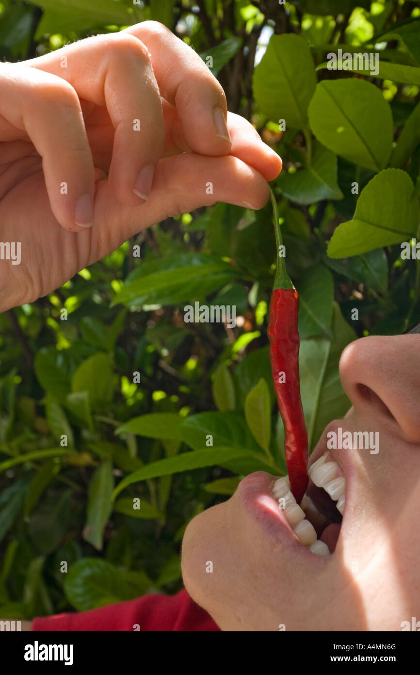 Capsicum lips hi-res stock photography and images - Alamy