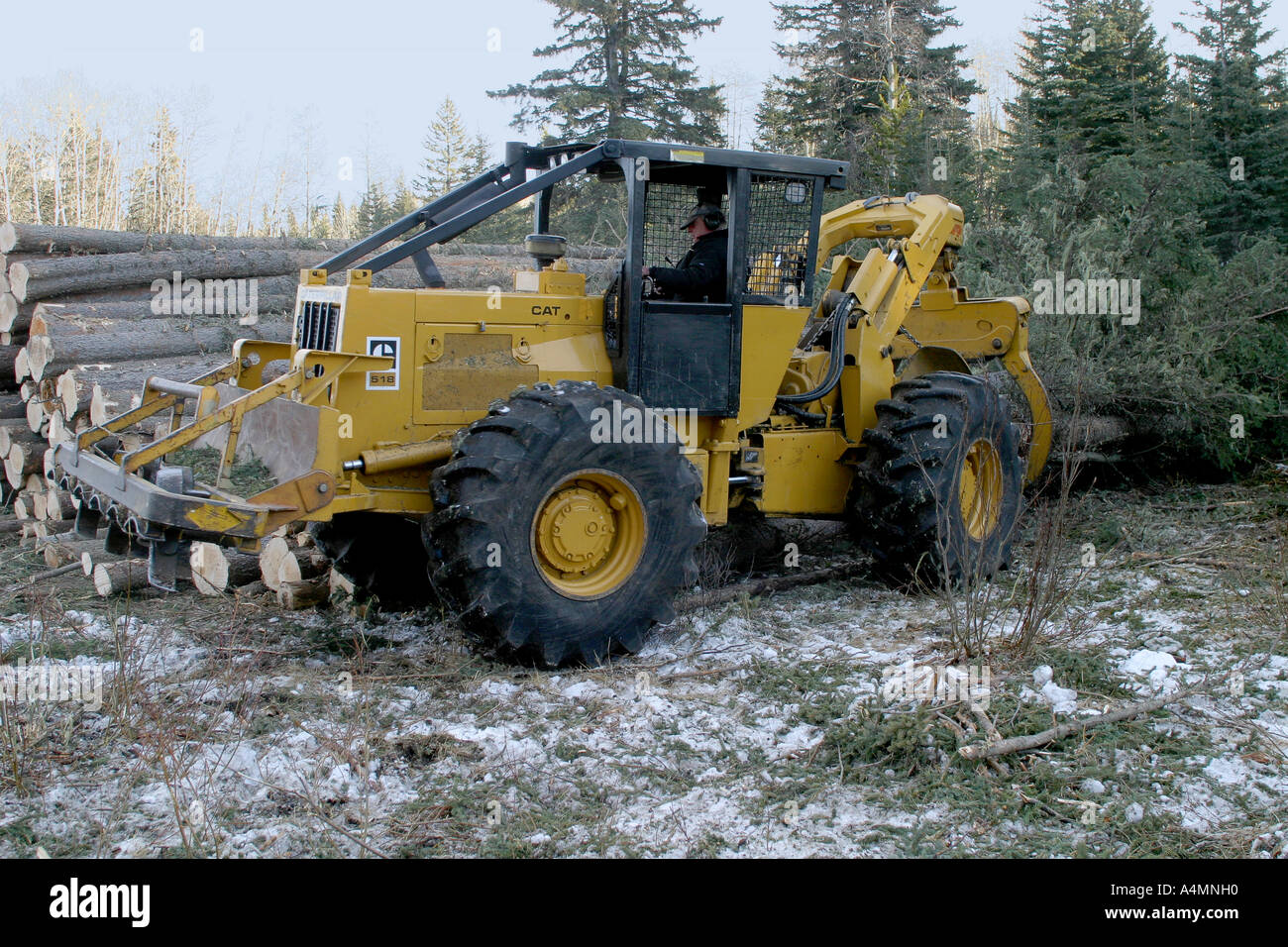 Logging industry Stock Photo - Alamy
