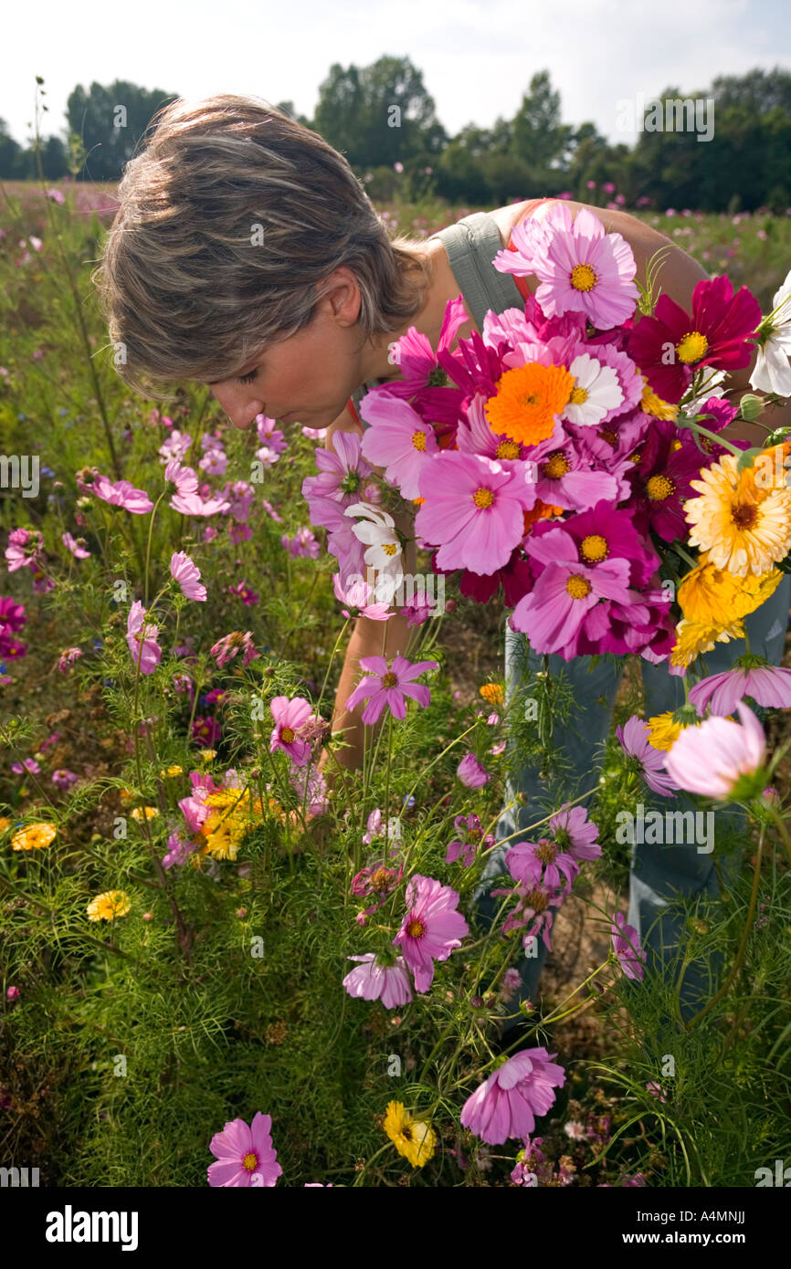 A young Lady gathering a bunch of flowers (Puy de Dôme-France). Jeune ...