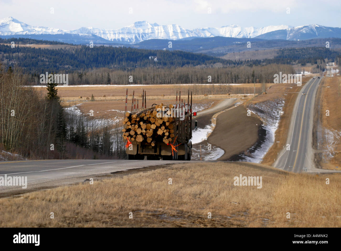 Logging industry Stock Photo - Alamy