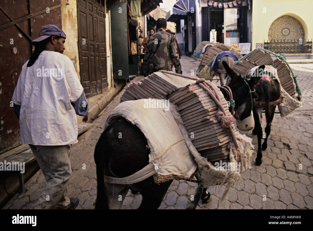 Donkeys carrying load hi-res stock photography and images - Alamy