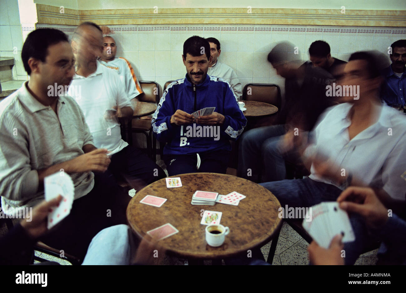MOROCCO FES EL BALI Local men playing cards at a cafe in the medina ...