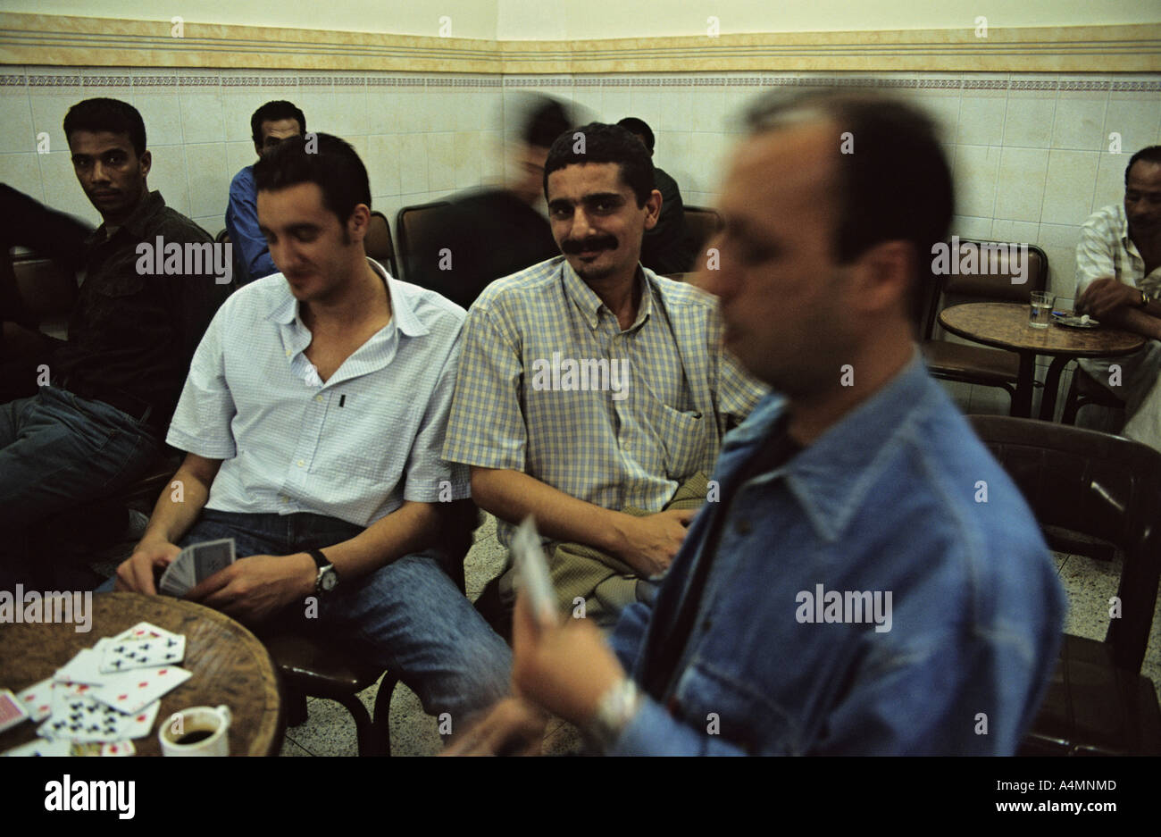 MOROCCO FES EL BALI Local men playing cards at a cafe in the medina ...