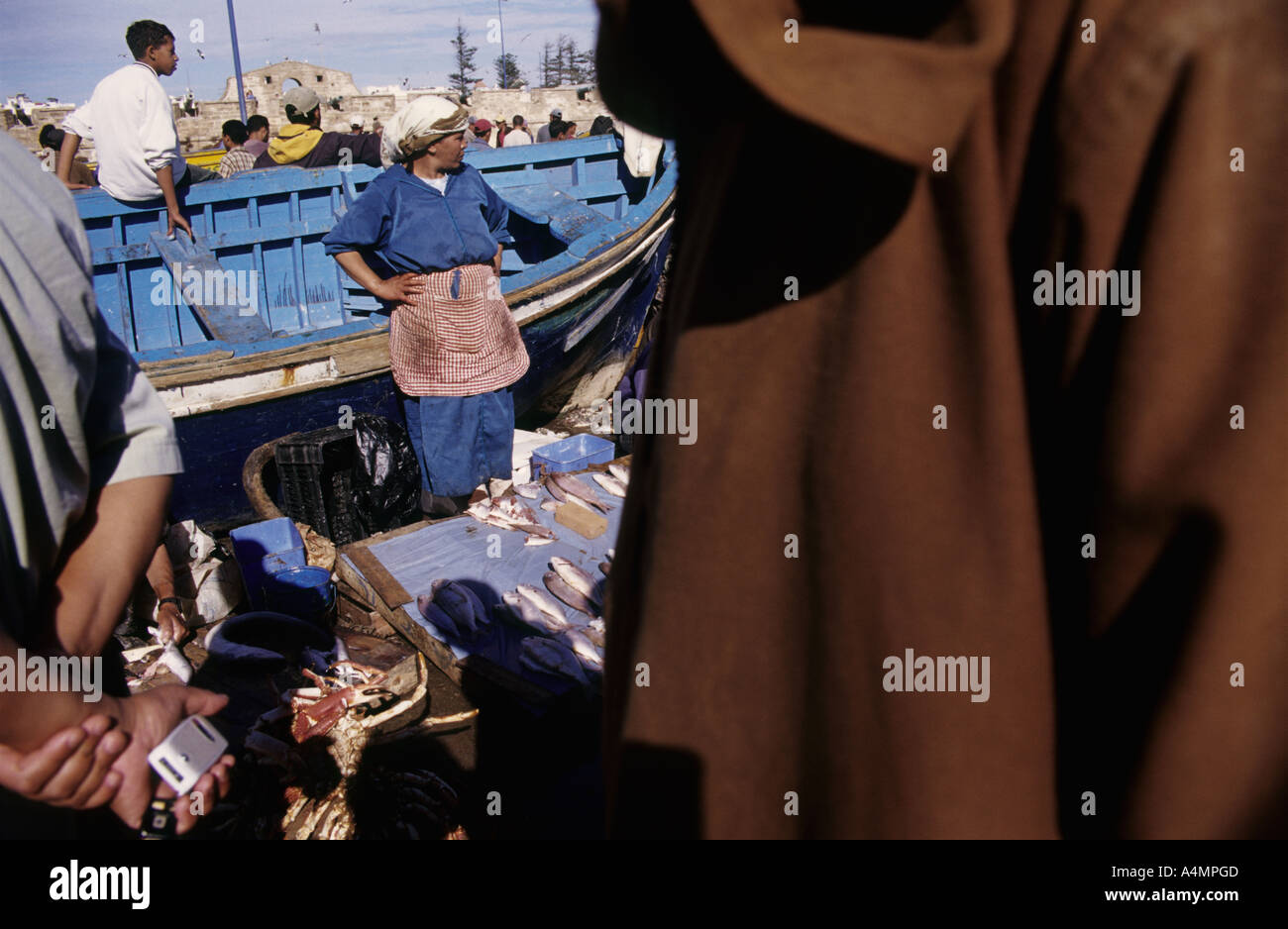 MOROCCO ESSAOUIRA Fish market at the port Stock Photo - Alamy