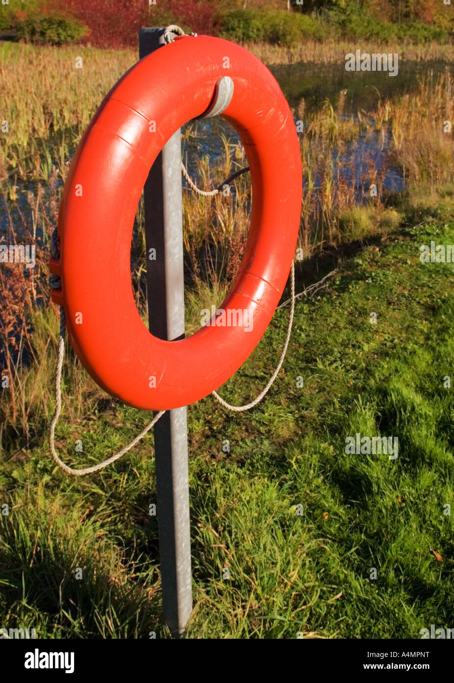 An orange life ring stood on the edge of a park lake Stock Photo - Alamy