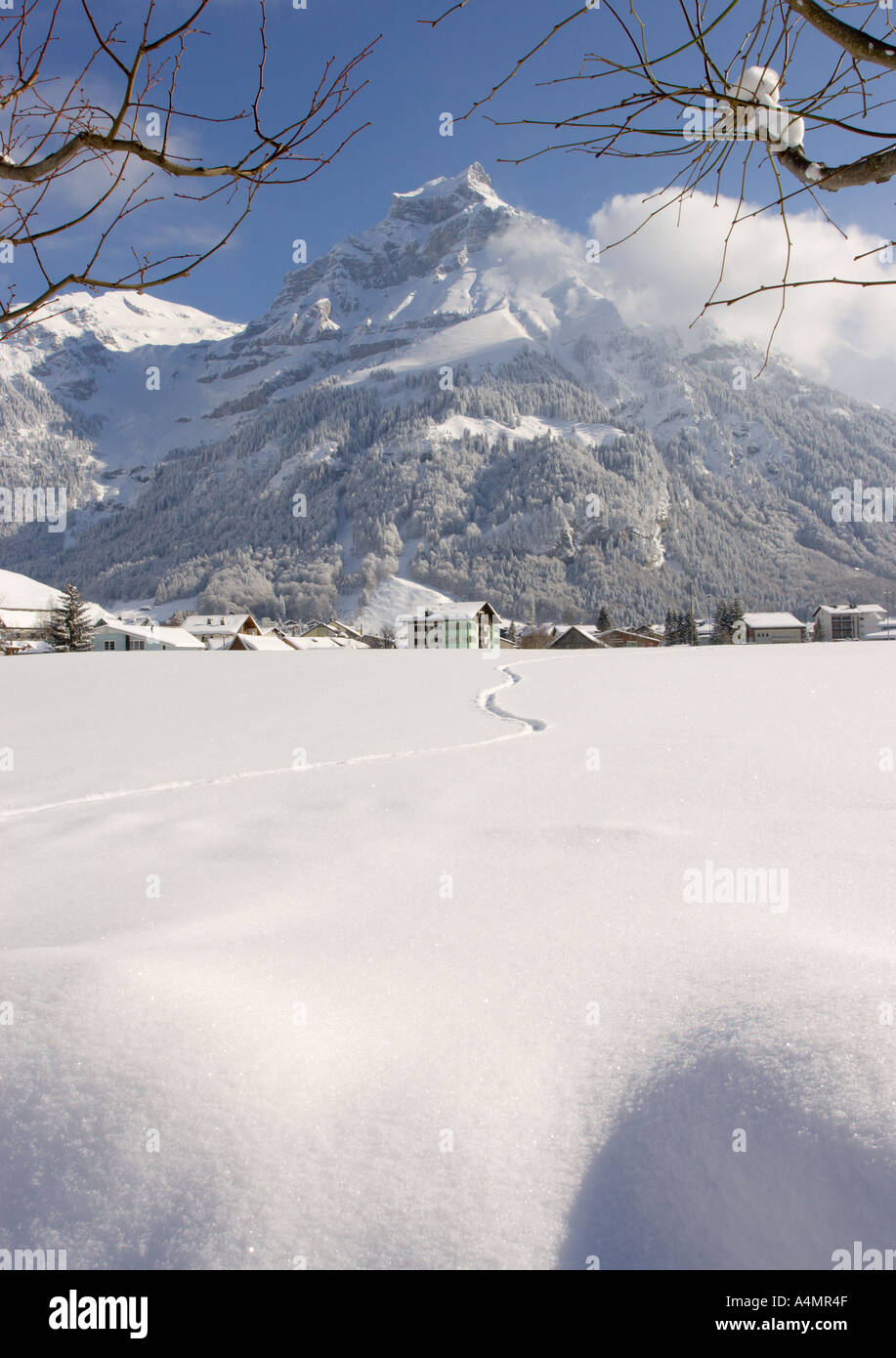 Track made by animal on snow glinting in sunlight from overnight frost ...