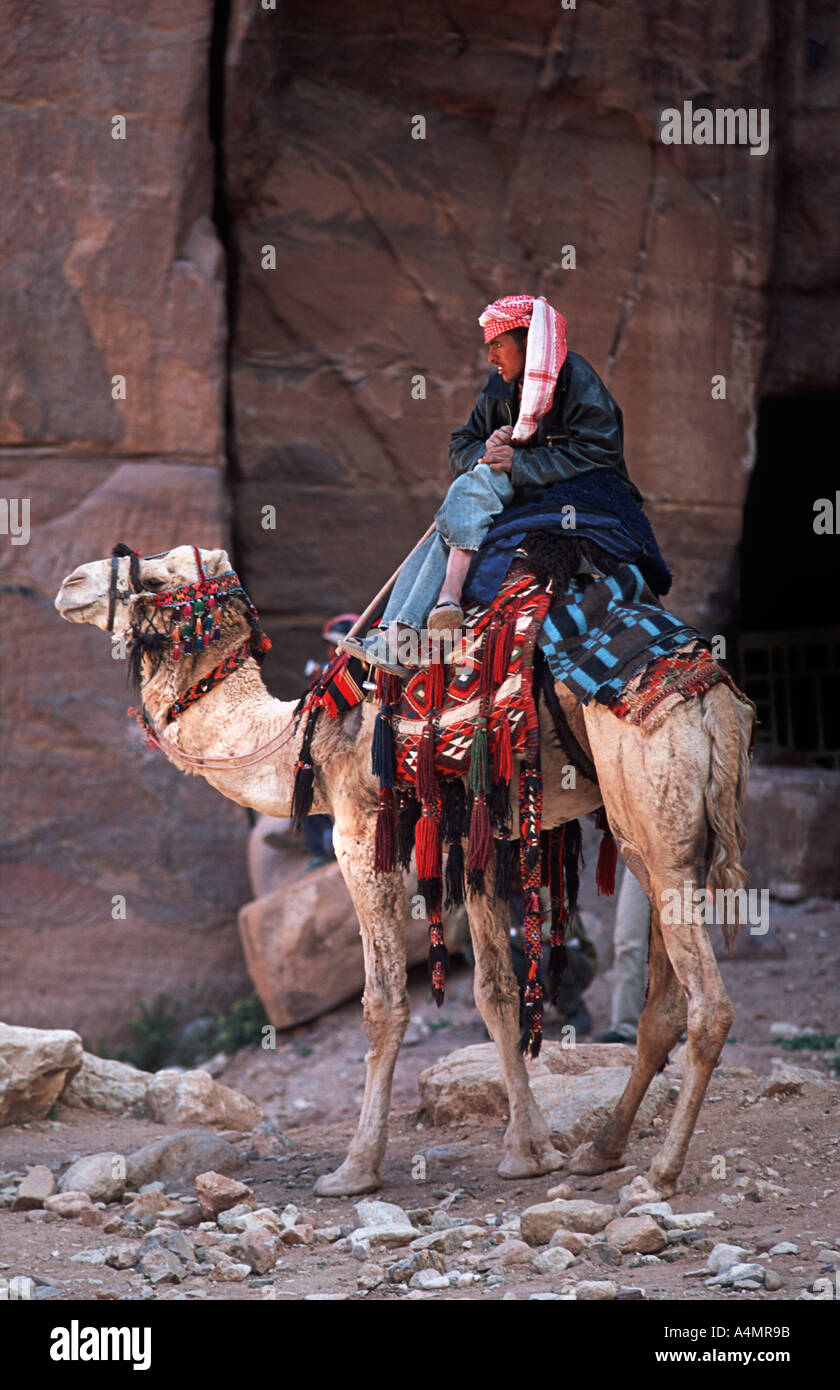 Bedouin camel rider petra jordan hi-res stock photography and images ...