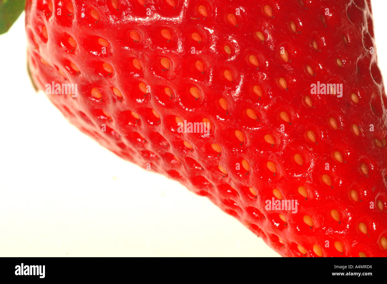 Strawberry Close up Stock Photo - Alamy